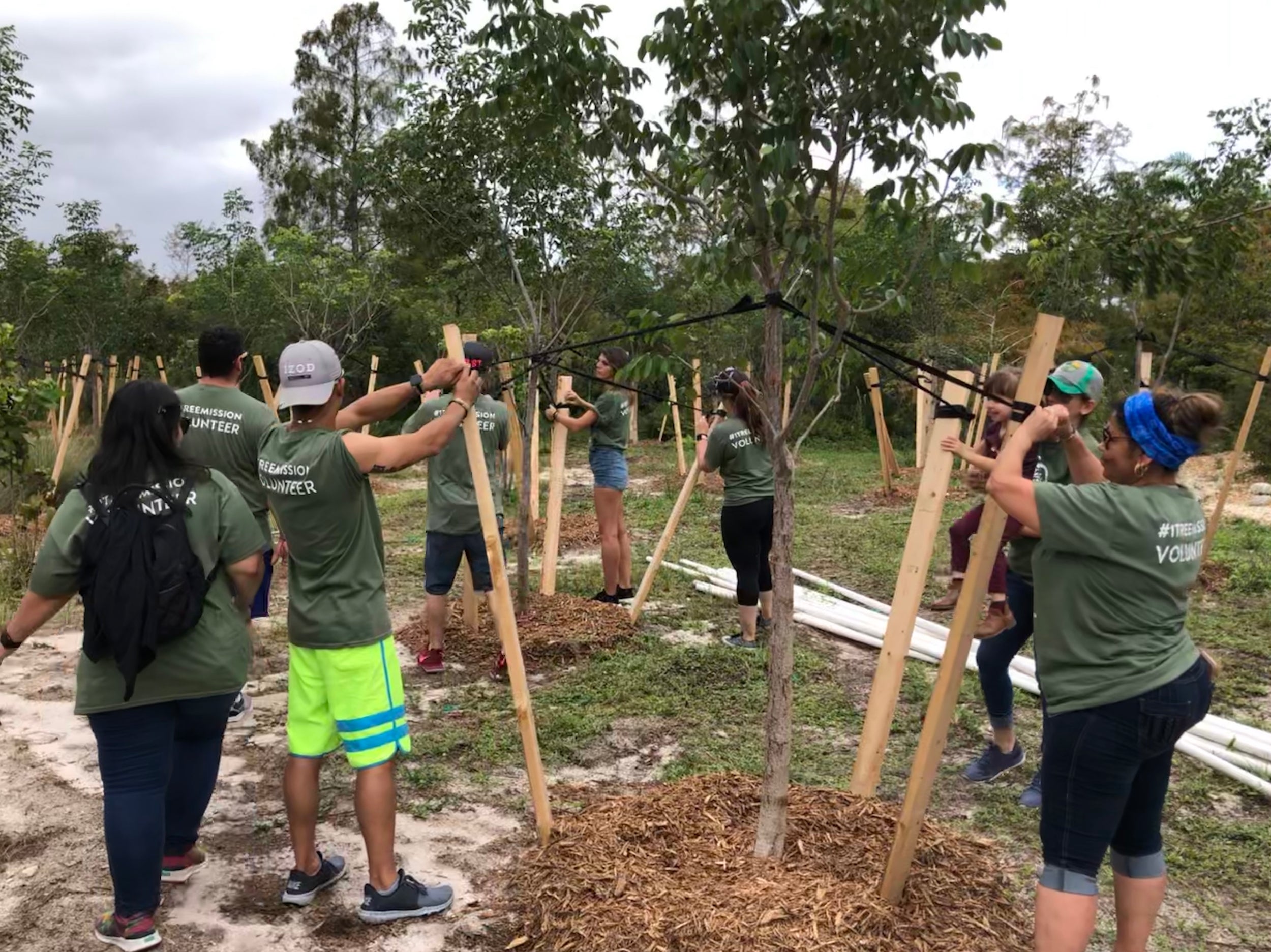 1 Tree Mission | 1 Purchase = 1 Tree Planted – 1 Tree Mission®