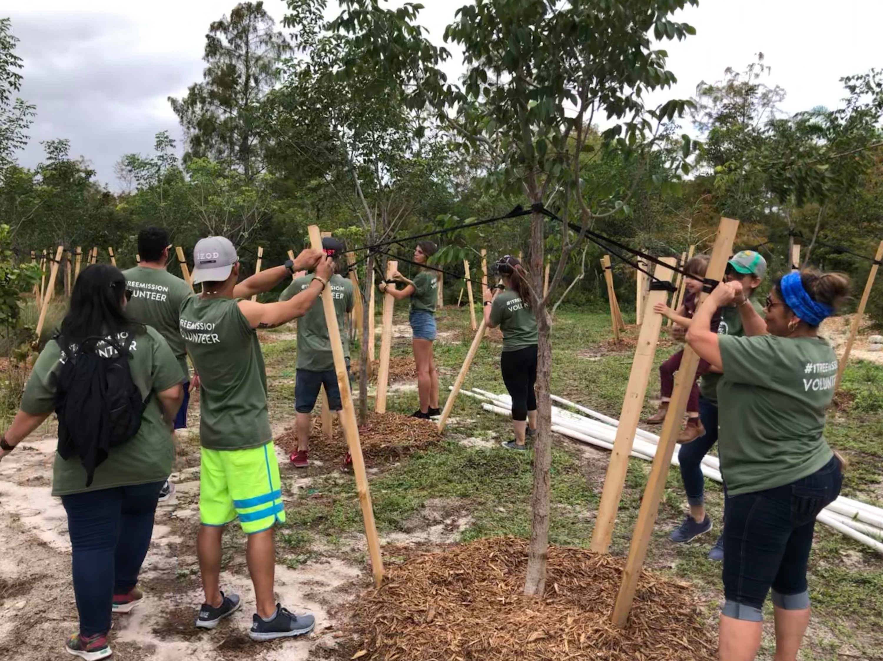 1 Tree Mission | 1 Purchase = 1 Tree Planted – 1 Tree Mission®