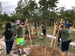 1 Tree Mission | 1 Purchase = 1 Tree Planted – 1 Tree Mission®